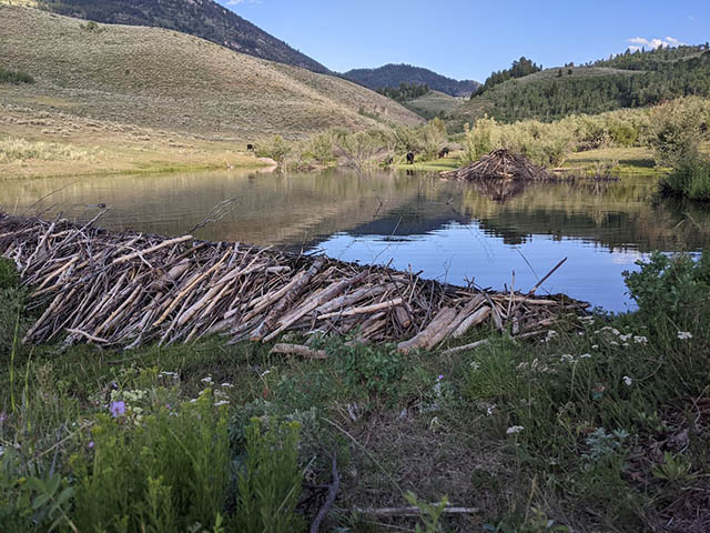 Allen Family Philanthropies awards $8 million for science-driven ...