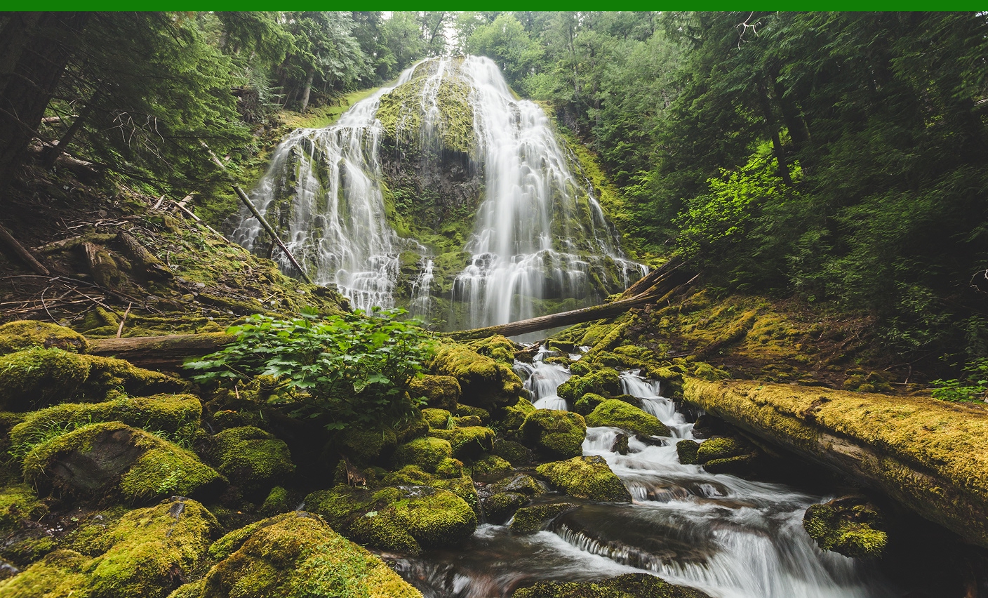 Environment | Allen Family Philanthropies | Allen Family Philanthropies